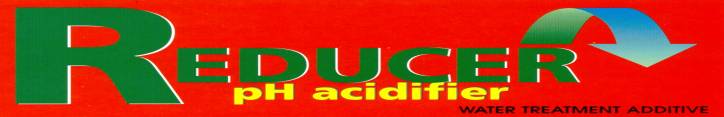 Reducer